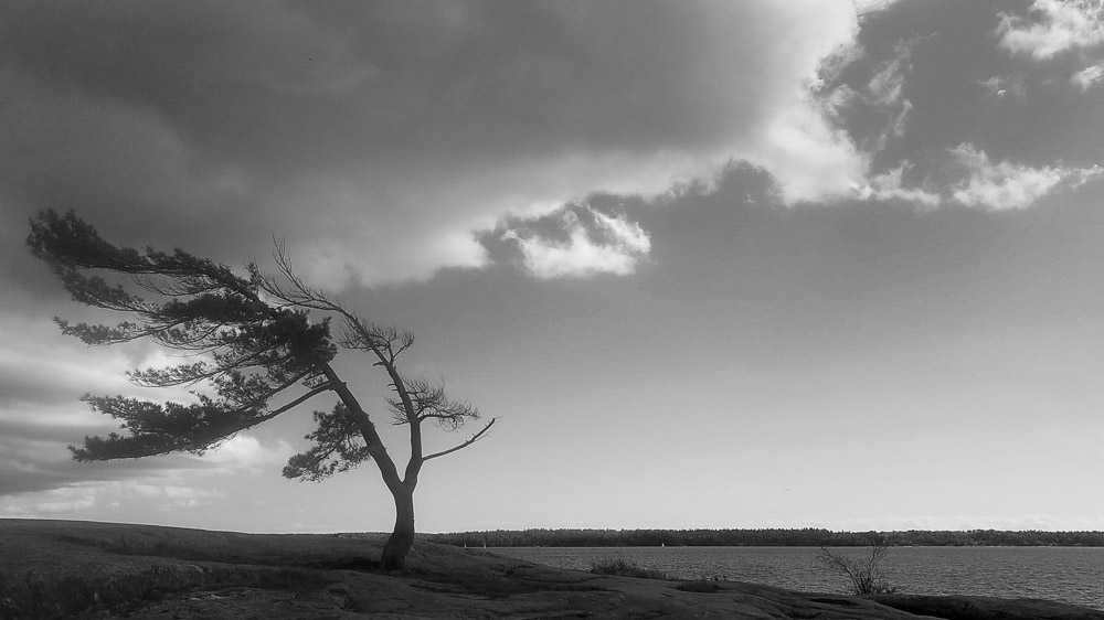 Landscapes – Andy Lee